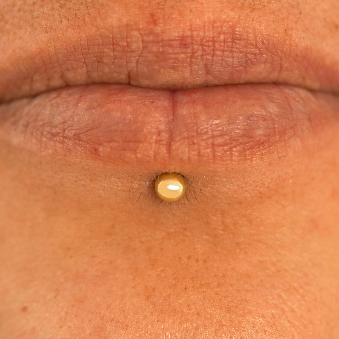 Automic Gold Small Curved Barbell Piercing | Fine Jewelry