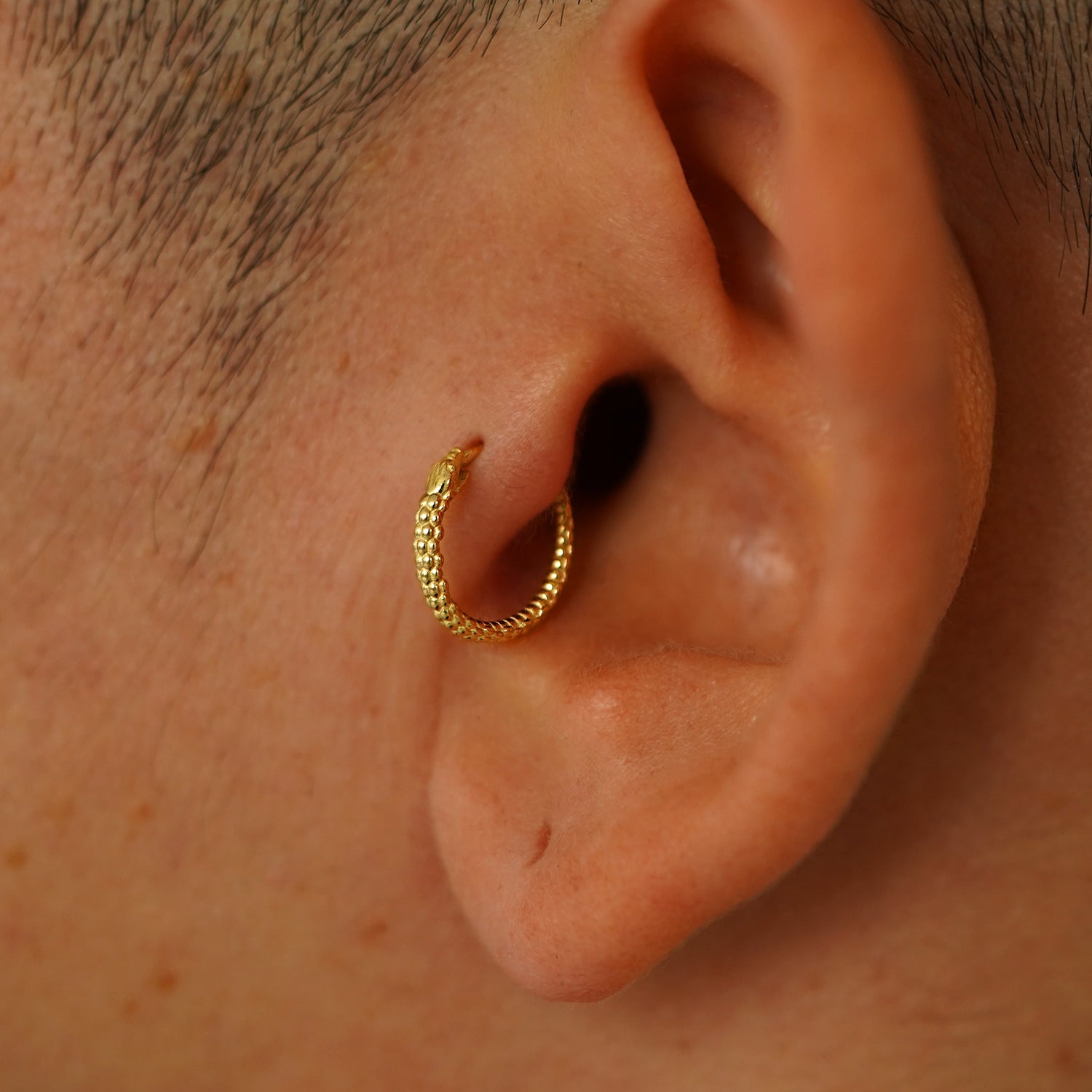 Automic Gold Snake Hoop / Piercing | Sustainable Fine Jewelry